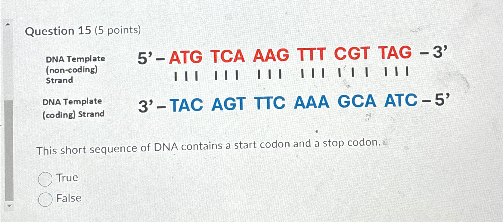 Solved Question 15 (5 ﻿points)DNA Template 5' - ﻿ATG TCA AAG | Chegg.com