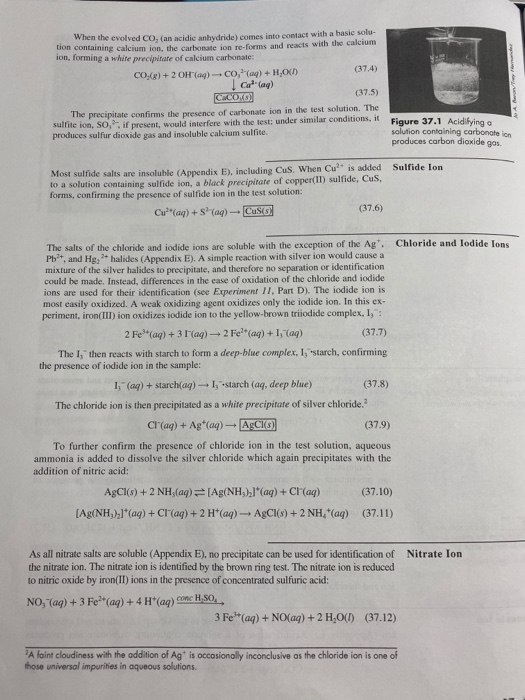 Experiment 37 Qual: Common Anions Andrew lomber | Chegg.com