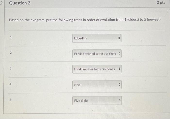 Solved Based on the evogram, put the following traits in | Chegg.com