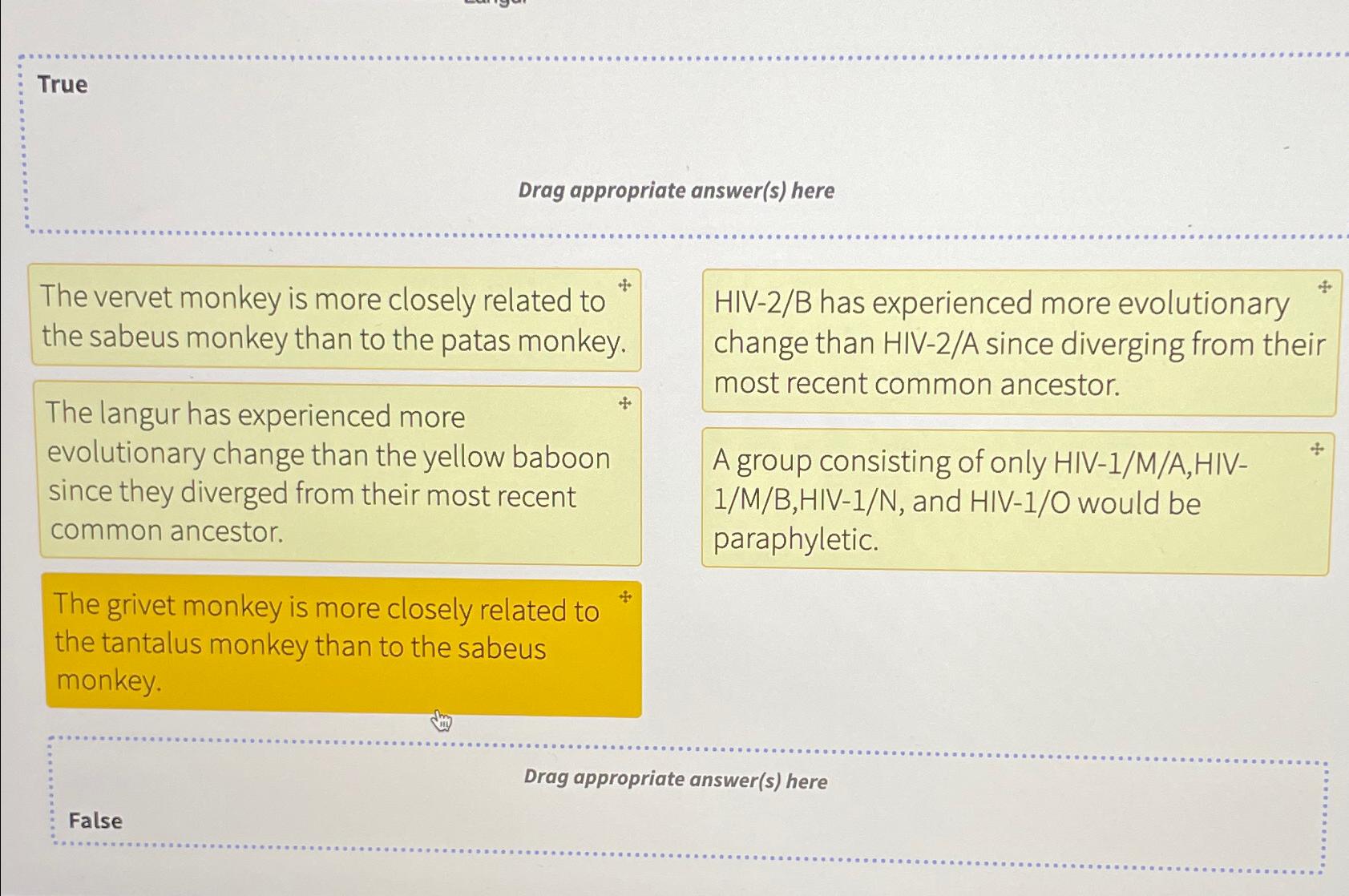 Solved TrueDrag appropriate answer(s) ﻿hereThe vervet monkey | Chegg.com