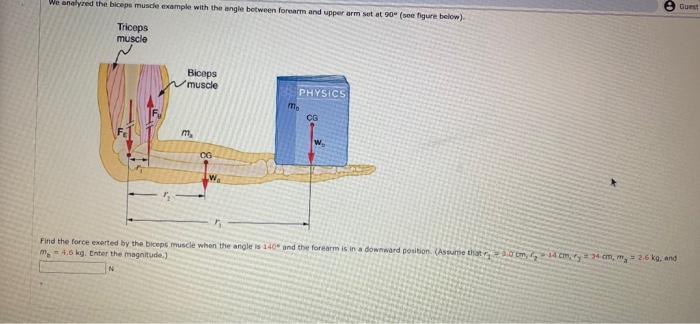 Solved We analyzed the biceps muscle example with the angle | Chegg.com