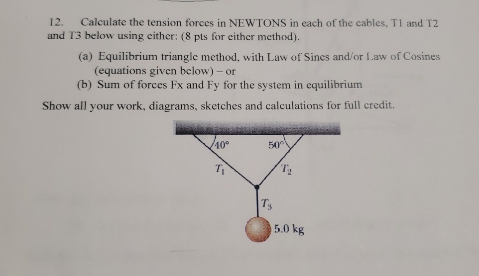 Solved Calculate the tension forces in NEWTONS in each of | Chegg.com