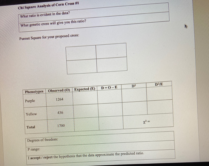 Solved Chi Square Analysis of Corn Cross #1 What ratio is | Chegg.com