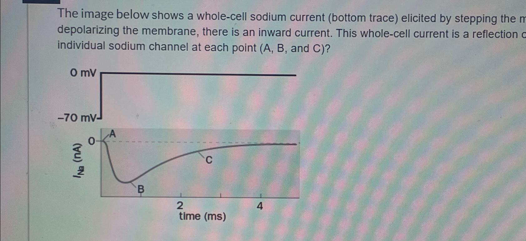 Solved The image below shows a whole-cell sodium current | Chegg.com