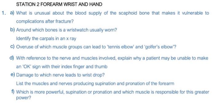 Solved STATION 2 FOREARM WRIST AND HAND 1. a) What is | Chegg.com