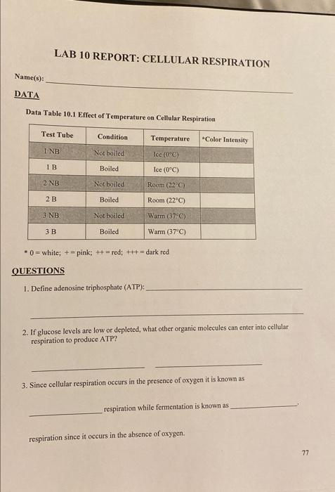 Solved LAB 10 REPORT: CELLULAR RESPIRATION Name(s): DATA | Chegg.com