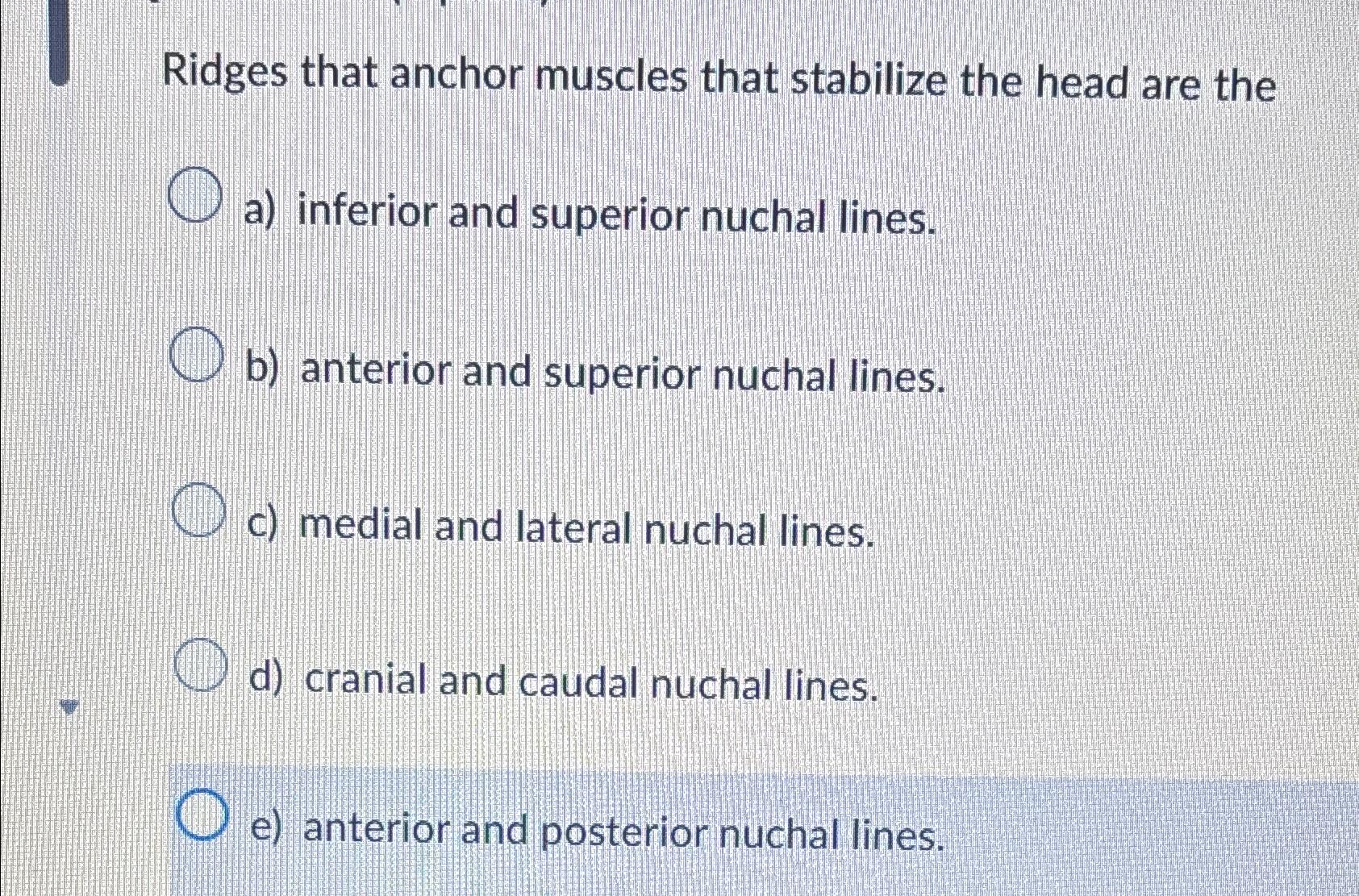 Solved Ridges that anchor muscles that stabilize the head | Chegg.com