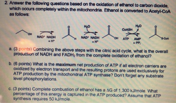 Solved 2. Answer the following questions based on the | Chegg.com