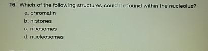 Solved Which of the following structures could be found | Chegg.com