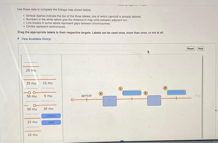 Solved You examine 450 progeny from the cross in Part C and | Chegg.com Solved You examine 450 progeny from the cross in Part C and | Chegg.com