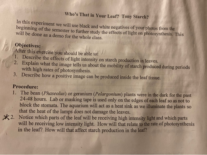 Solved Who's That in Your Leaf? Tony Starch? In this | Chegg.com