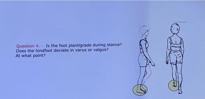Question 4. - Is the foot plantigrade during stance? | Chegg.com