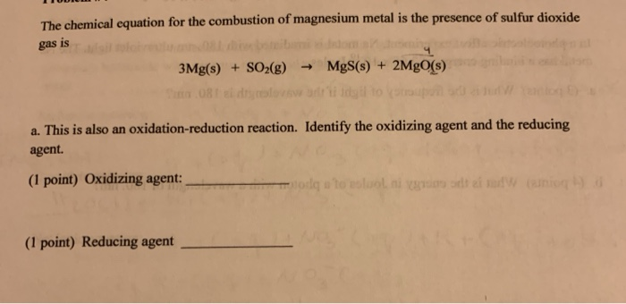 Solved The chemical equation for the combustion of magnesium | Chegg.com