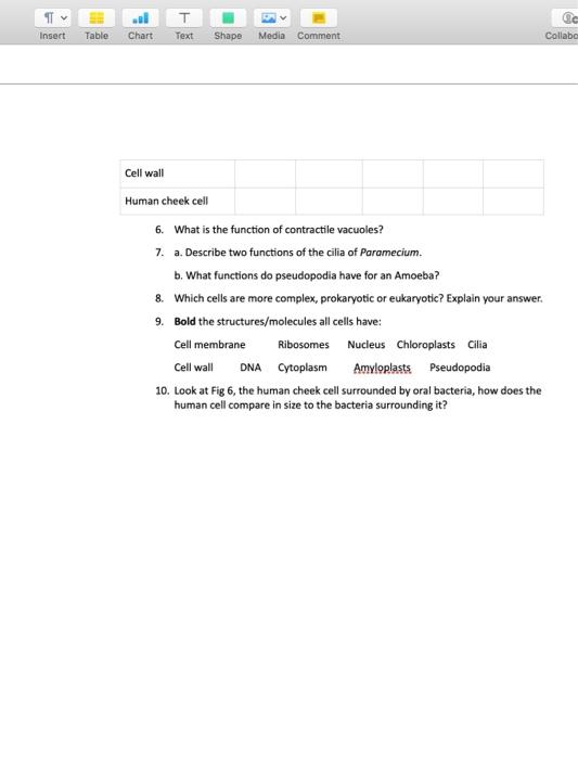 Solved Collaborate Insert Table Chart Text Shape Media | Chegg.com