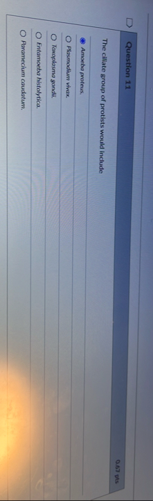 Solved Question 110.67 ﻿ptsThe cillate group of protists | Chegg.com