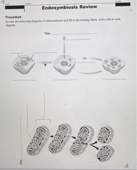Solved Procedure Review the following diagrams of | Chegg.com