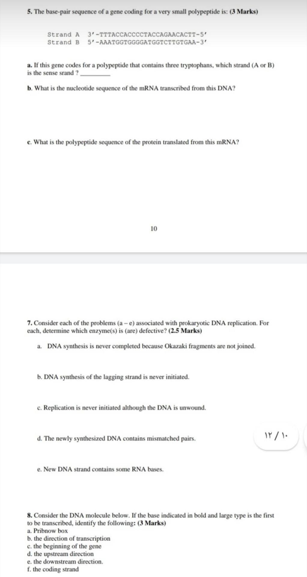 Solved 5. The base-pair sequence of a gene coding for a very | Chegg.com