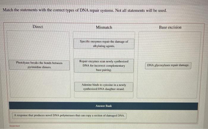 Solved Match the statements with the correct types of DNA | Chegg.com