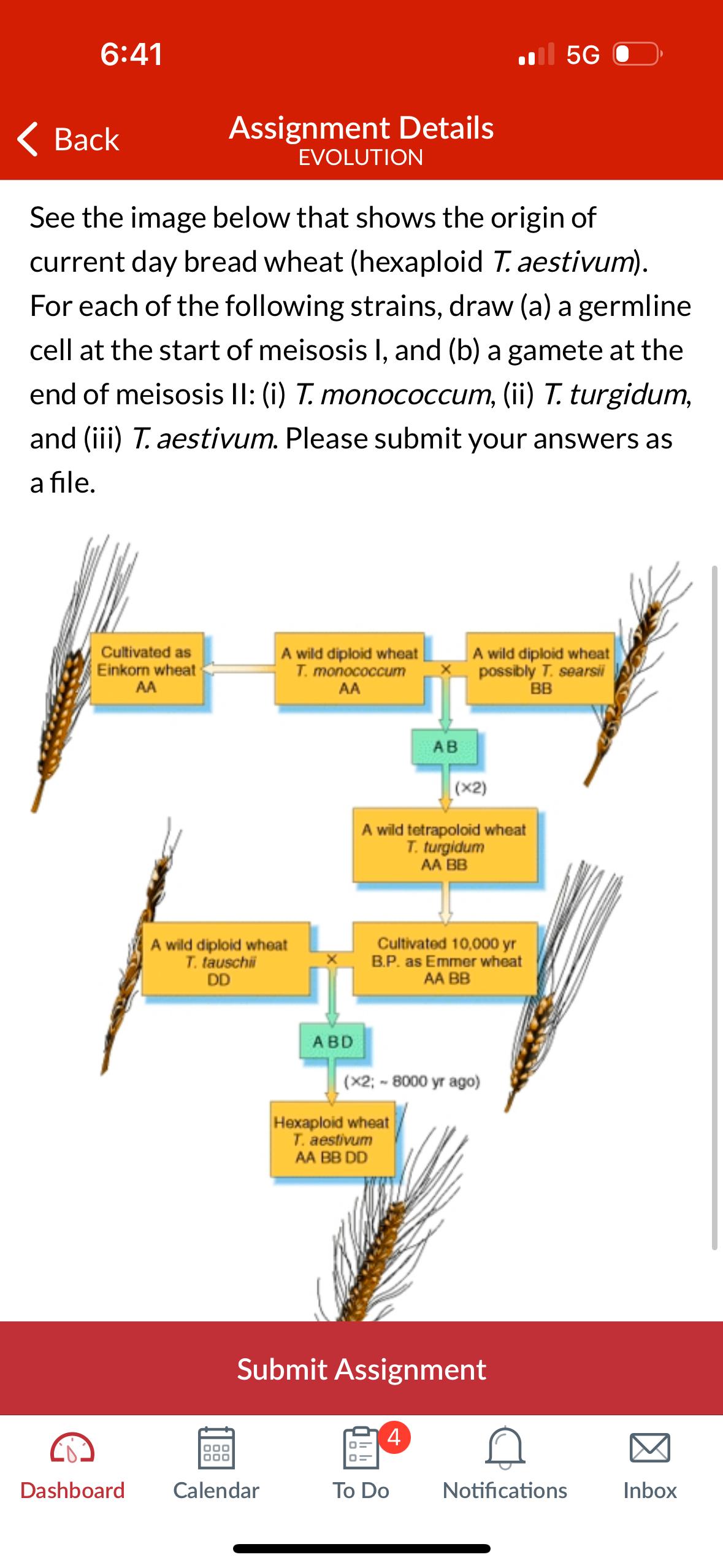 Solved 6:41BackAssignment DetailsEVOLUTIONSee the image | Chegg.com