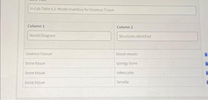In-Lab Table 6.1: Model Inventory for Osseous Tissue | Chegg.com