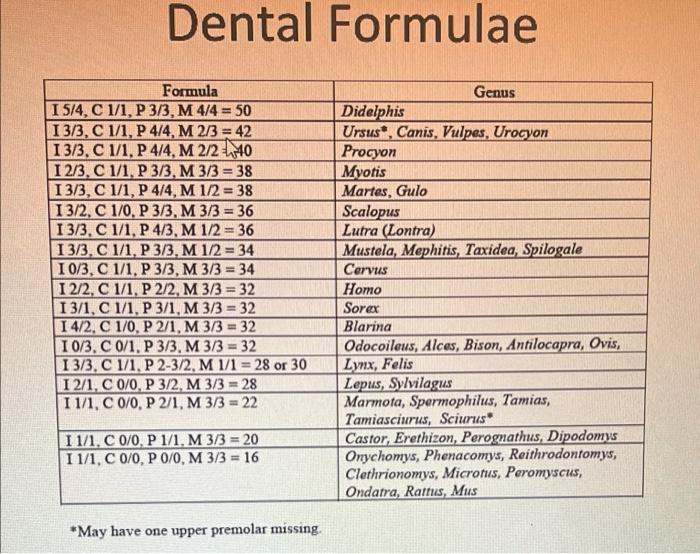 Solved write the dental formula for this skull. use correct | Chegg.com
