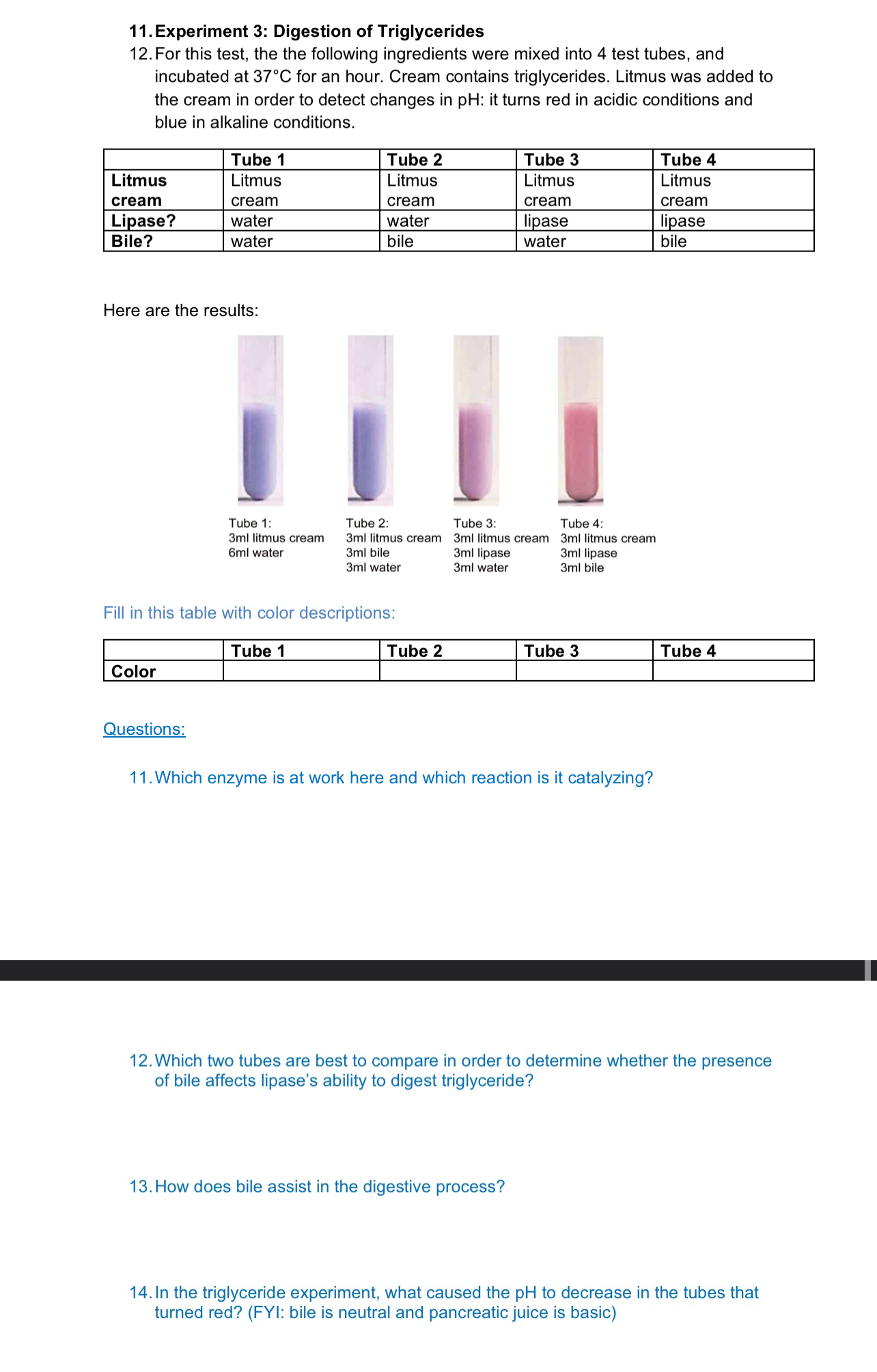 Solved Experiment 3: Digestion of TriglyceridesFor this | Chegg.com
