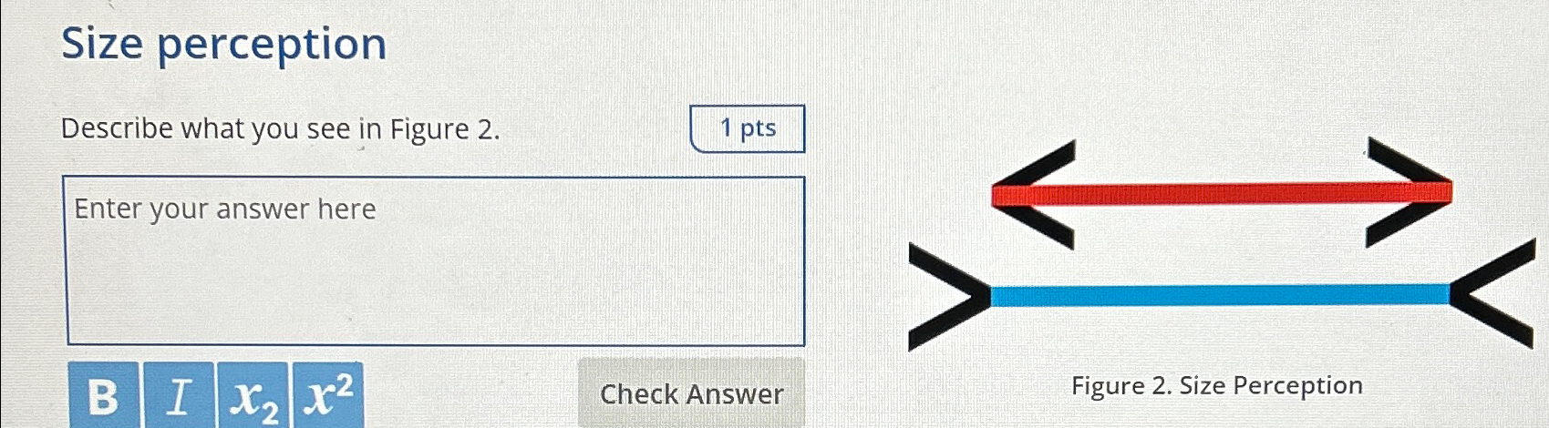 Solved Size perceptionDescribe what you see in Figure | Chegg.com