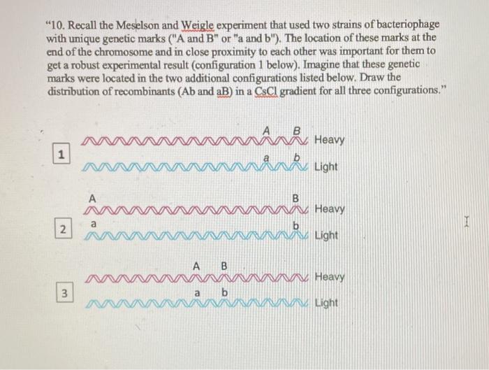 Solved “10. Recall the Meselson and Weigle experiment that | Chegg.com