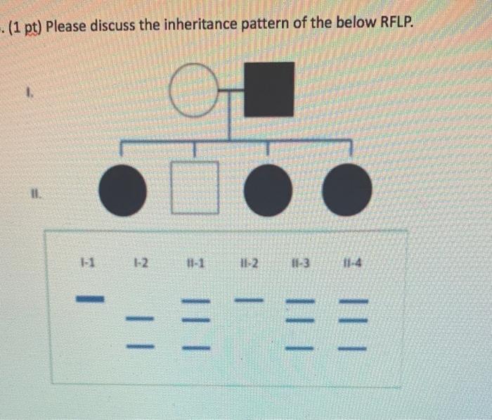 Solved (1 pt) Please discuss the inheritance pattern of the | Chegg.com
