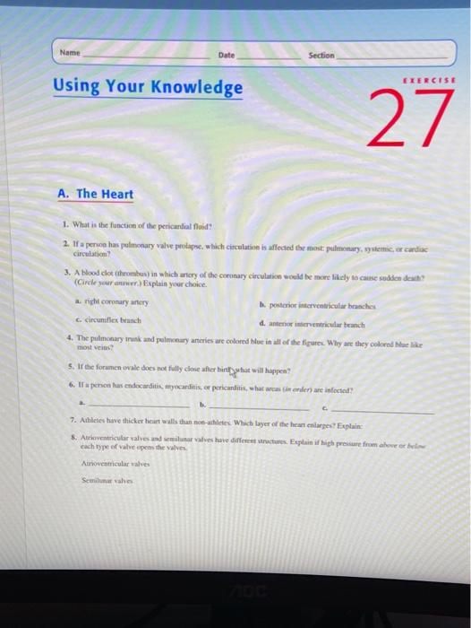 Solved Name Date Section CIERCISE Using Your Knowledge 27 A. | Chegg.com