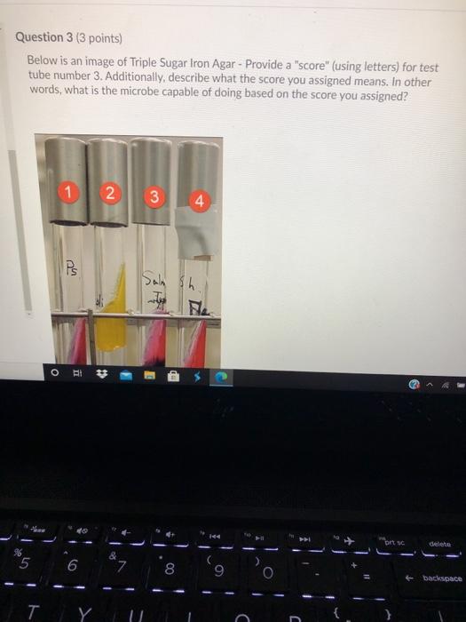 Solved Question 2 (1 point) Below is an image of Triple | Chegg.com