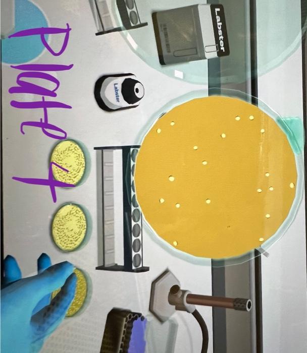 Solved Help please! Ive tried a lot of different numbers | Chegg.com