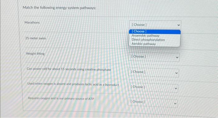 Solved Match the following energy system pathways: Marathons | Chegg.com