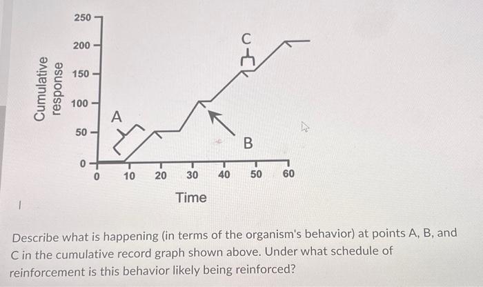 Solved 1 Cumulative response 250 200 150 100 50 0 0 A 10 20 | Chegg.com