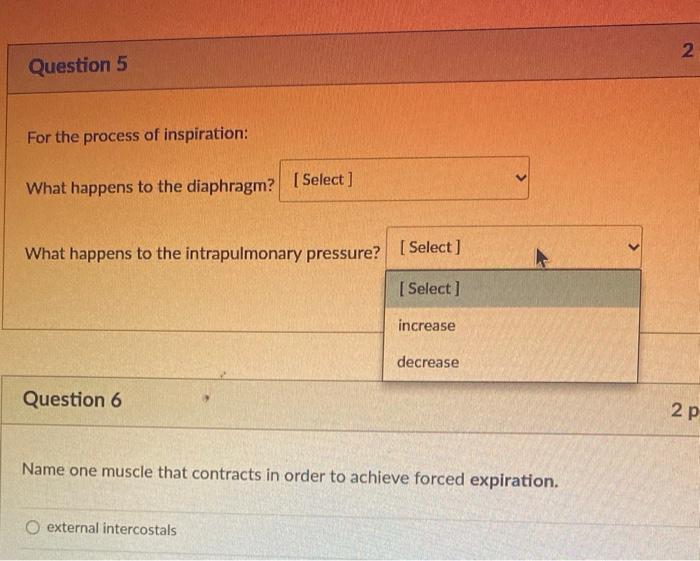 Solved Question 5 2 pt For the process of inspiration: What | Chegg.com