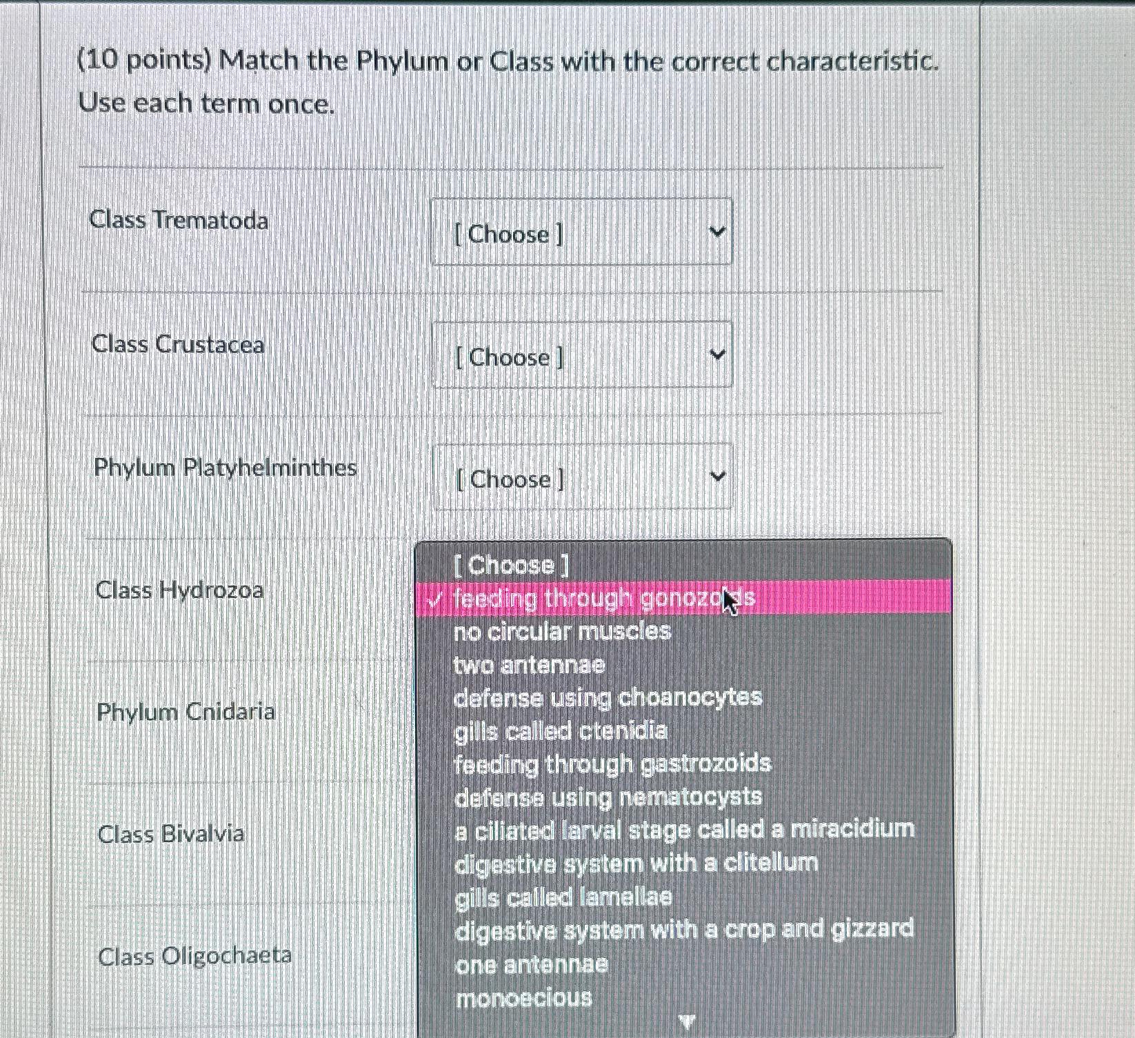 Solved (10 ﻿points) ﻿Match the Phylum or Class with the | Chegg.com