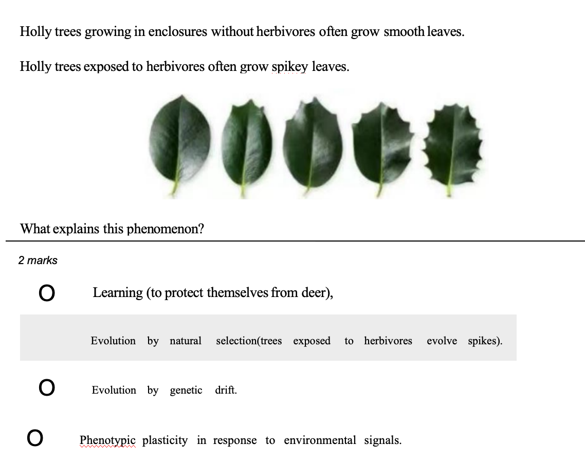 Solved Holly trees growing in enclosures without herbivores | Chegg.com