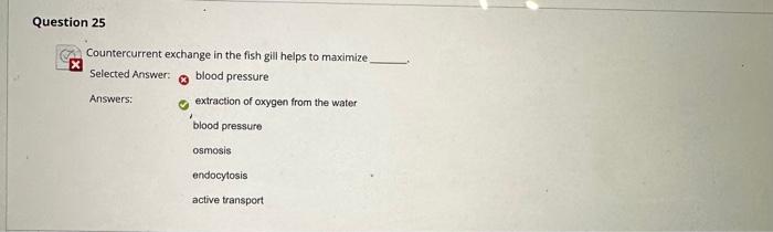 Solved When a cell is in equilibrium with its environment, | Chegg.com