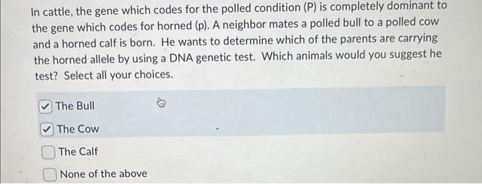 Solved In cattle, the gene which codes for the polled | Chegg.com