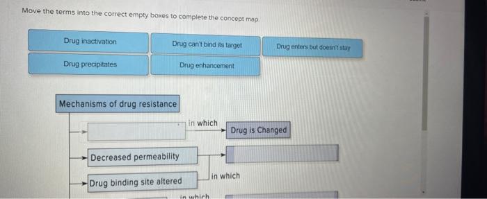 Solved Move the terms into the correct empty boxes to | Chegg.com