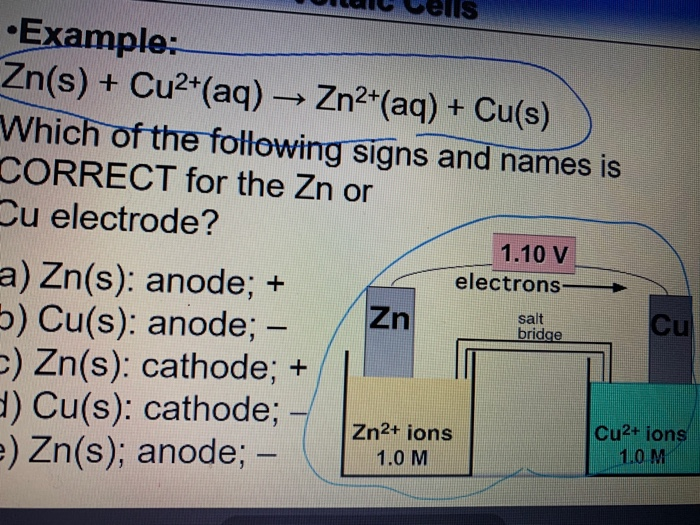 Solved olul cells Example: Zn(s) + Cu2+(aq) → Zn2+(aq) + | Chegg.com