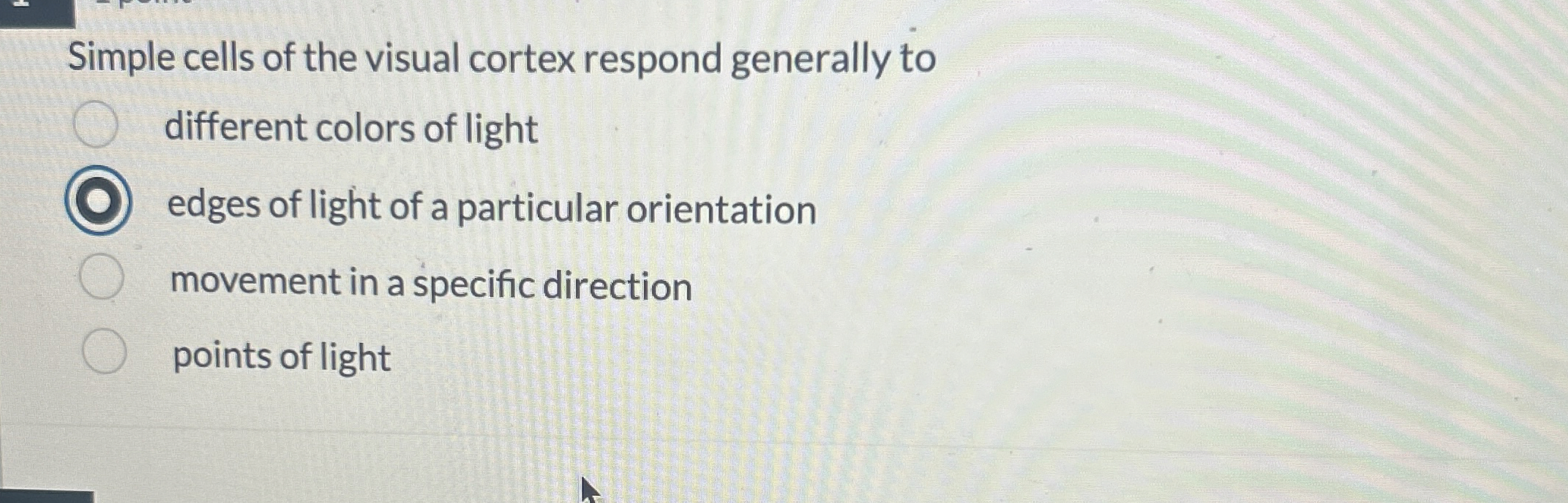 Solved Simple cells of the visual cortex respond generally | Chegg.com