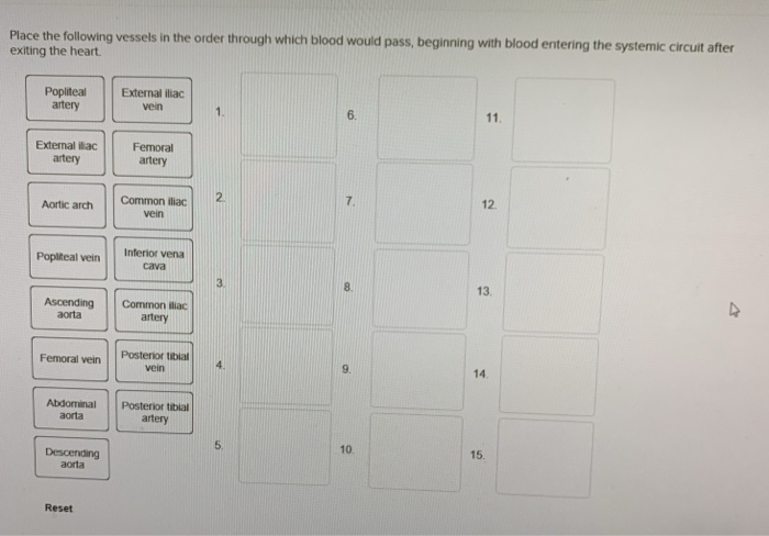 Solved Place the following vessels in the order through | Chegg.com
