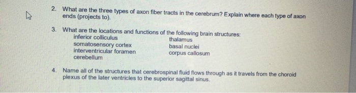 Solved 2. What are the three types of axon fiber tracts in | Chegg.com