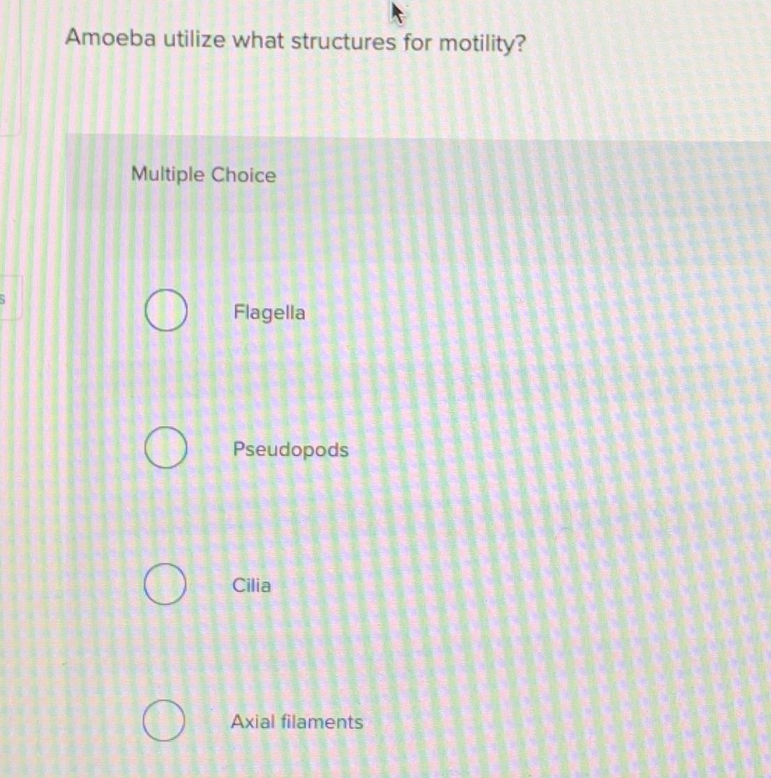 Solved Amoeba utilize what structures for motility?Multiple | Chegg.com