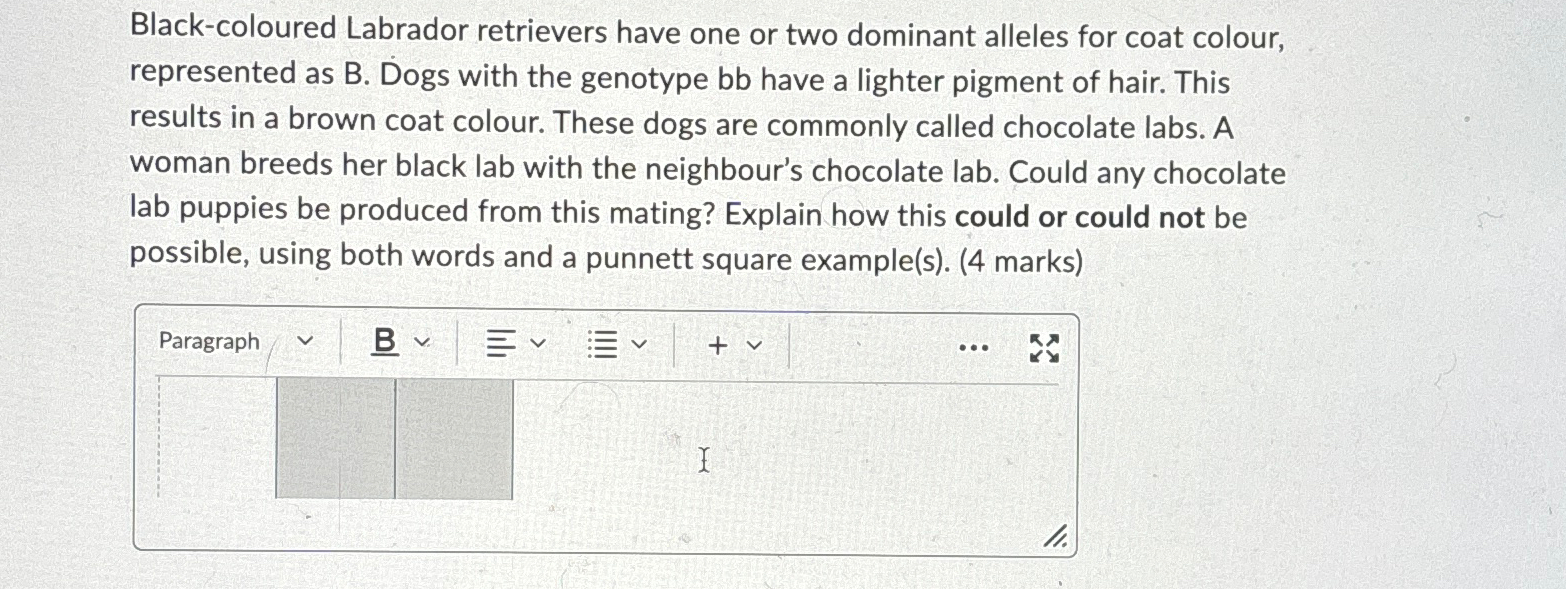Solved Black-coloured Labrador retrievers have one or two | Chegg.com