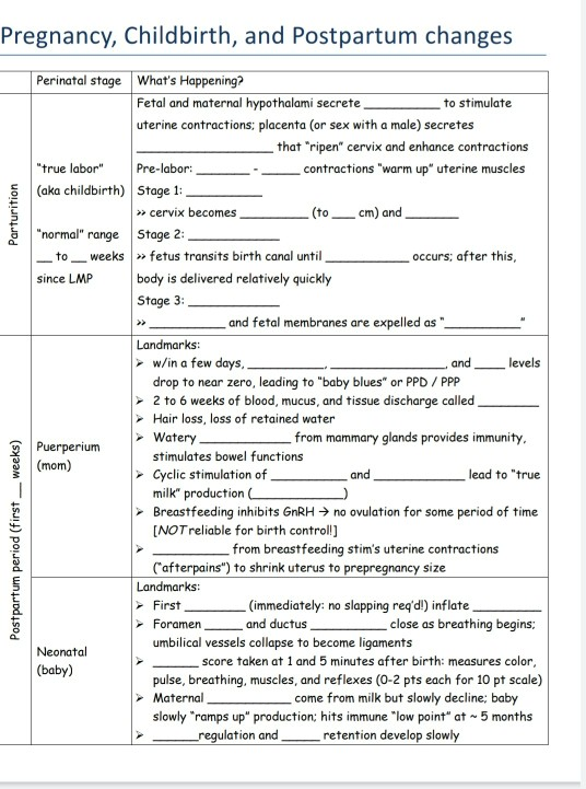 Stages of Conceptus Development Mo- Stage of | Chegg.com