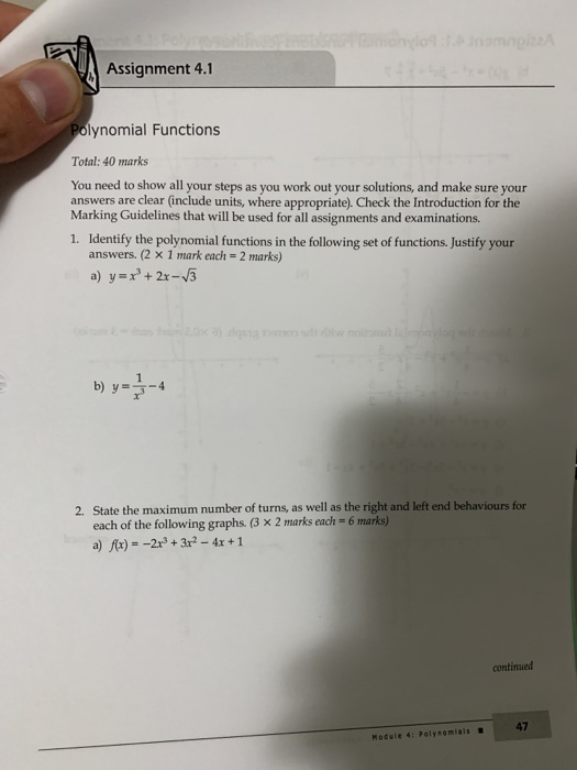 Solved mondon Assignment 4.1 Polynomial Functions Total: 40 | Chegg.com