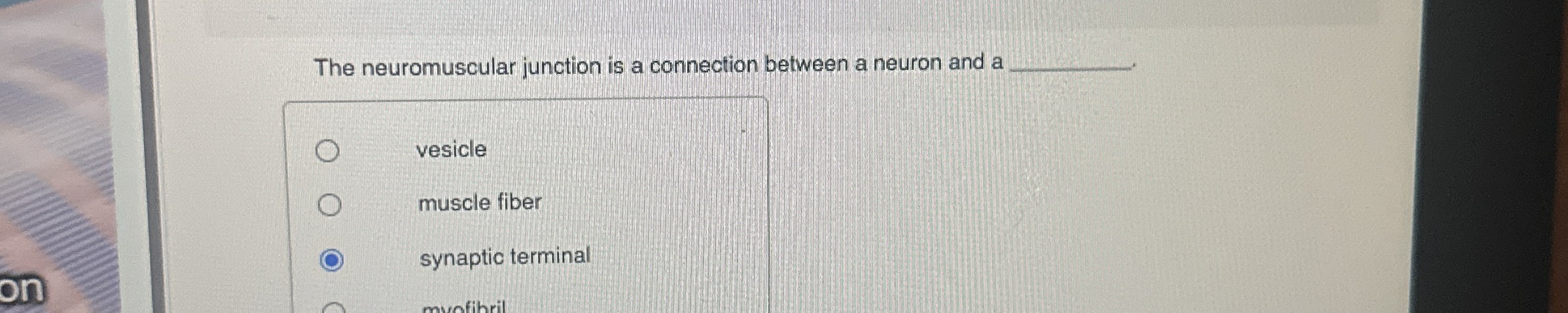 Solved The neuromuscular junction is a connection between a | Chegg.com