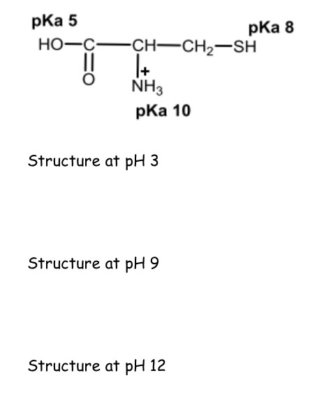 Solved Draw the structure the molecule with the given pH | Chegg.com